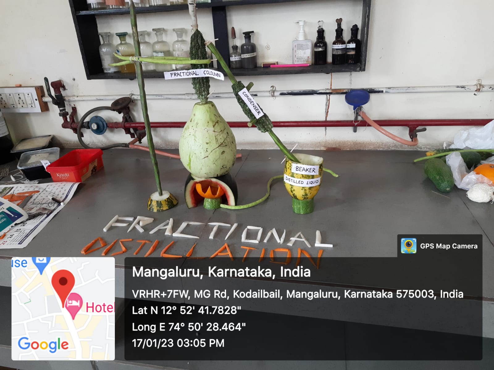 ‘Chem -Veg- Art’ competition for II BSc students | Canara College ...