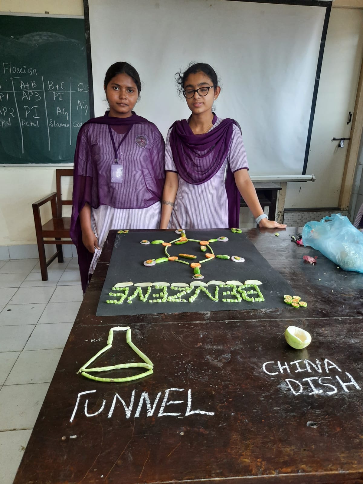‘Chem -Veg- Art’ competition for II BSc students | Canara College ...
