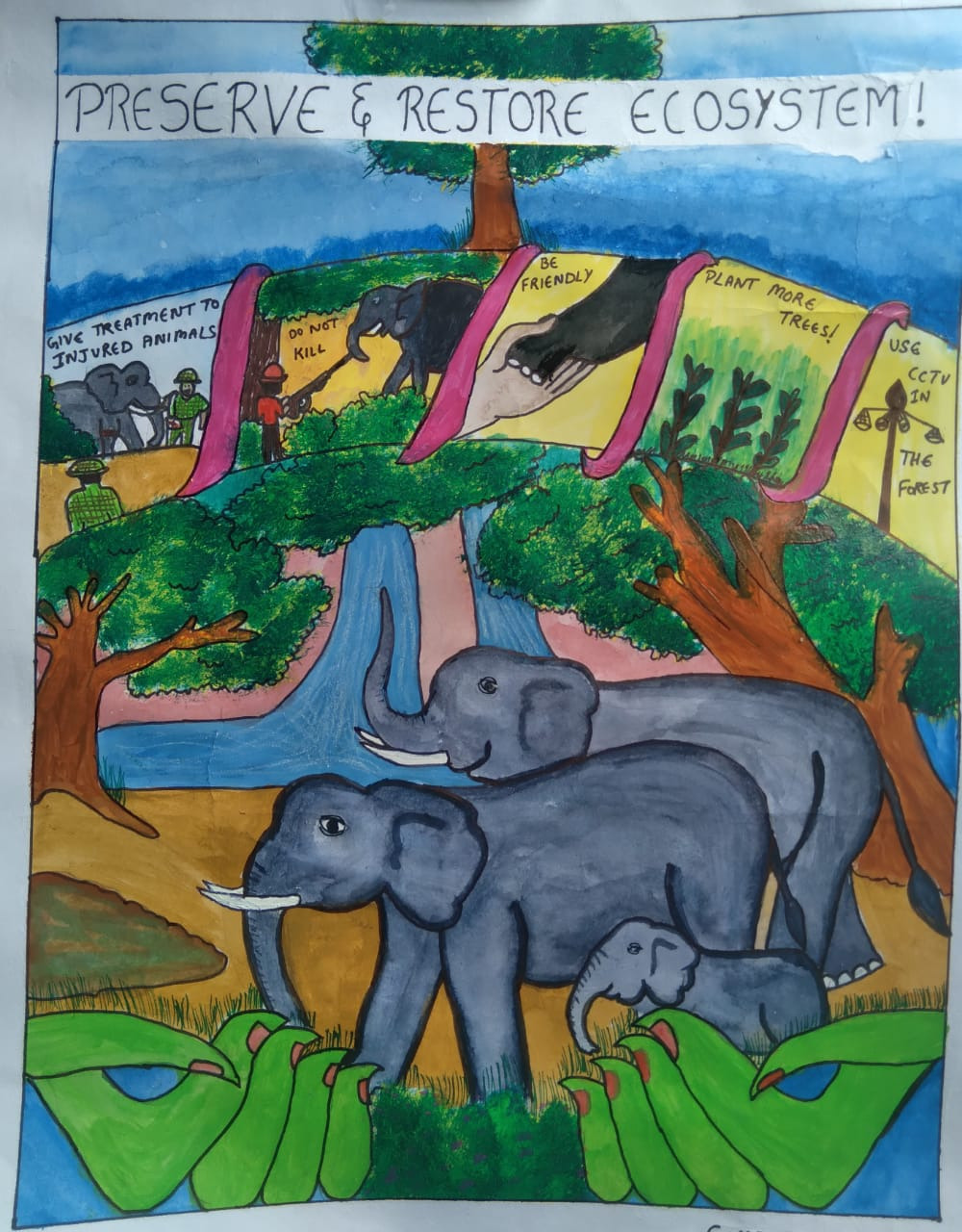 Poster competition – on the theme “Key Species for Ecosystem ...