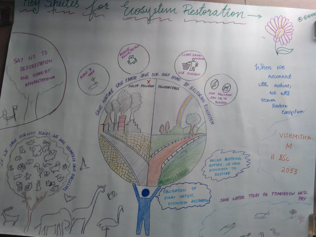 Poster competition – on the theme “Key Species for Ecosystem ...