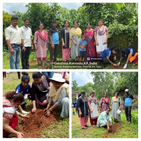 Sapling Plantation Drive On Account Of World Environment Day 2024-An ...